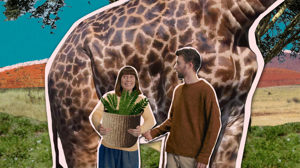 Ontdek Arla Cultura | Arla